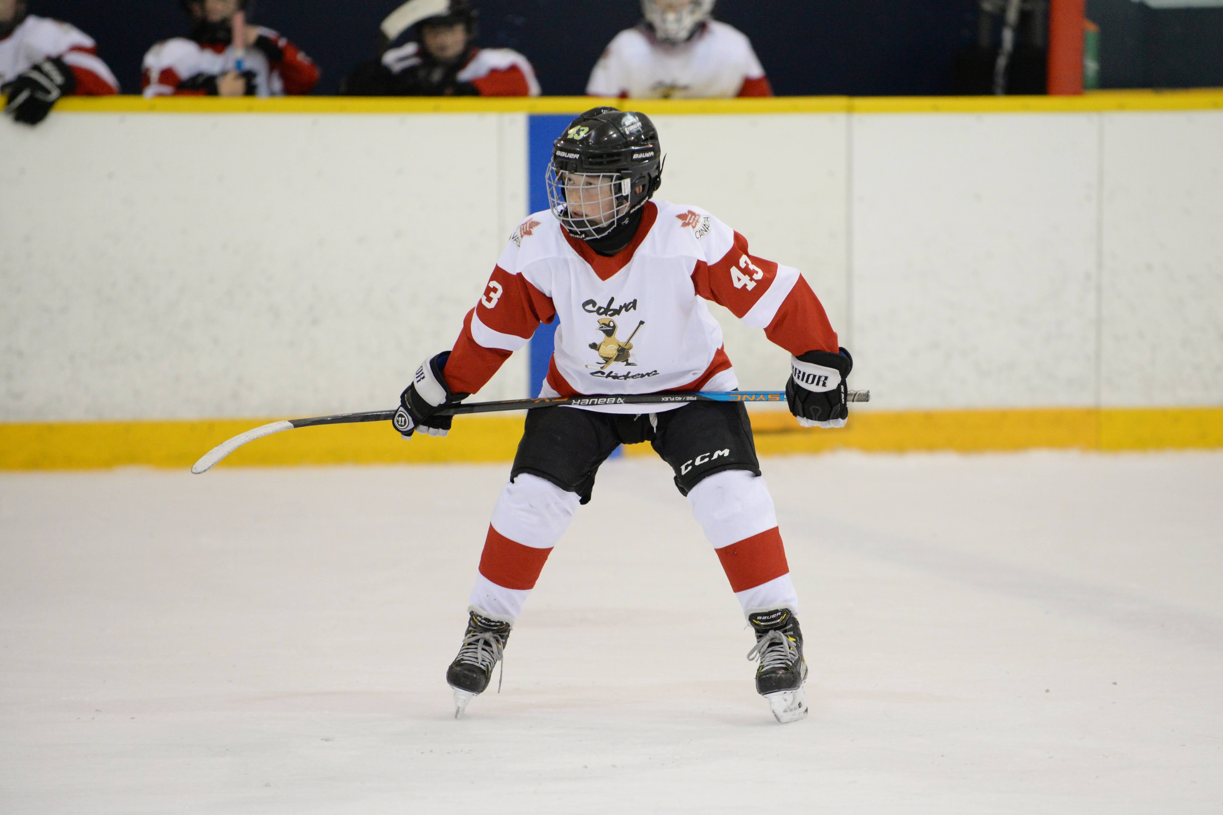 Cobra Chickens Hockey